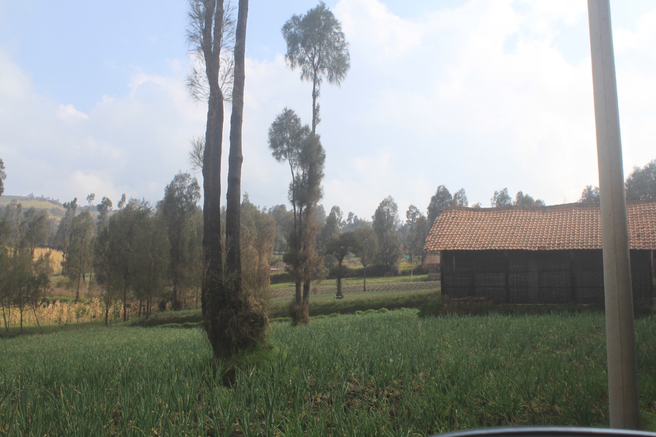 Sejarah & Visi Misi CU Sawiran – CUSAWIRAN